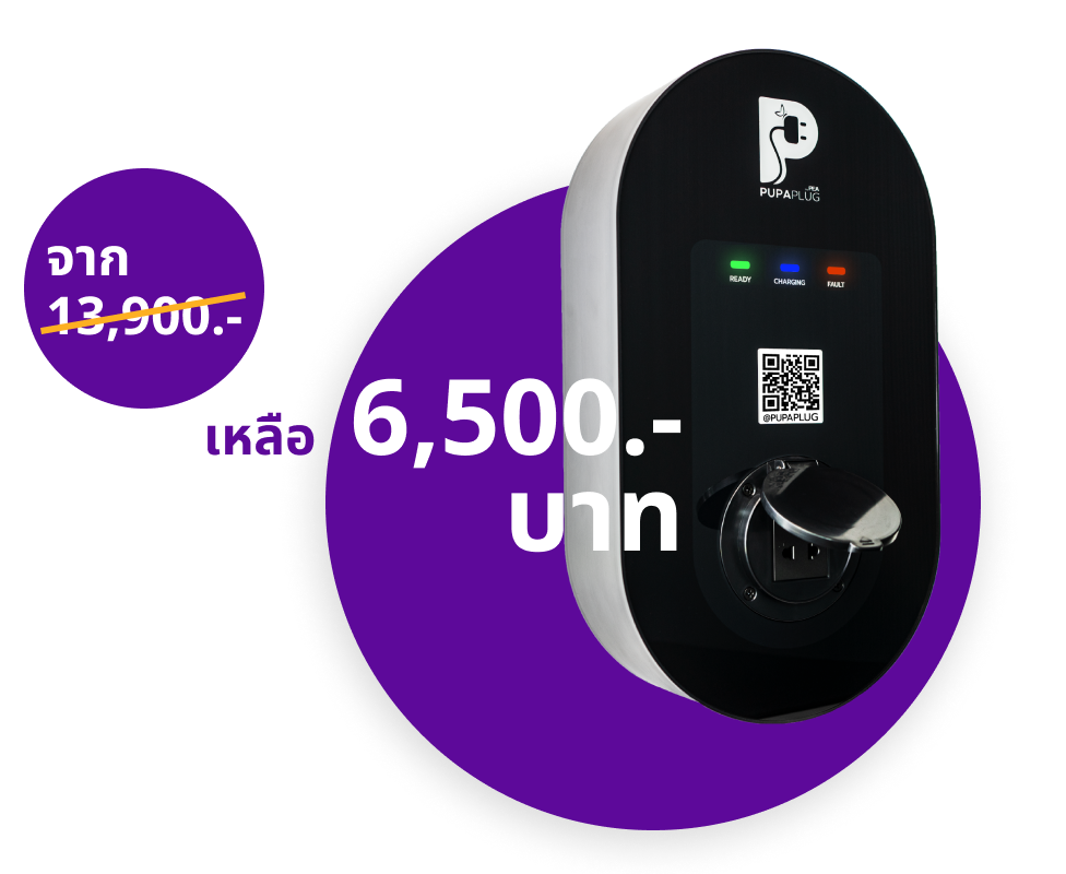 Product-pupaplug - PEA VOLTA